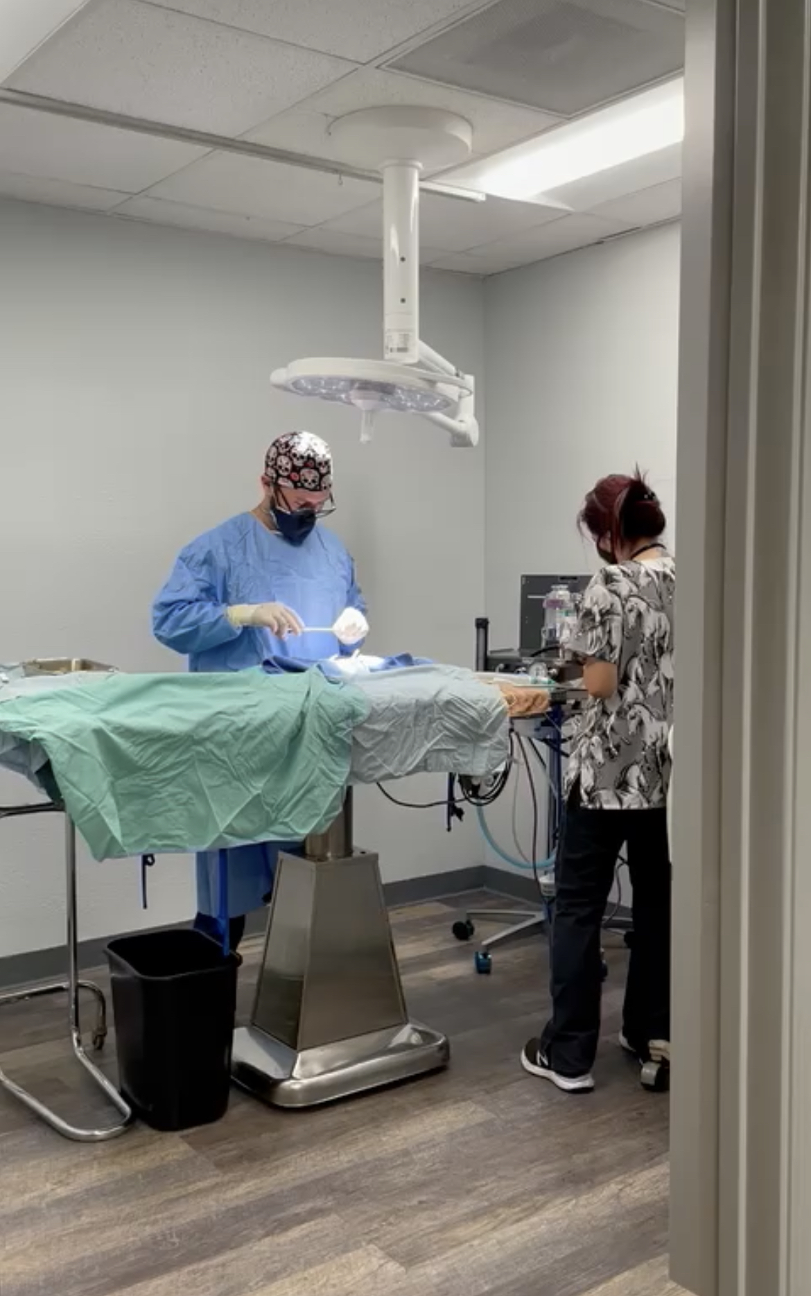 Surgery - Uptown Animal Hospital ABC