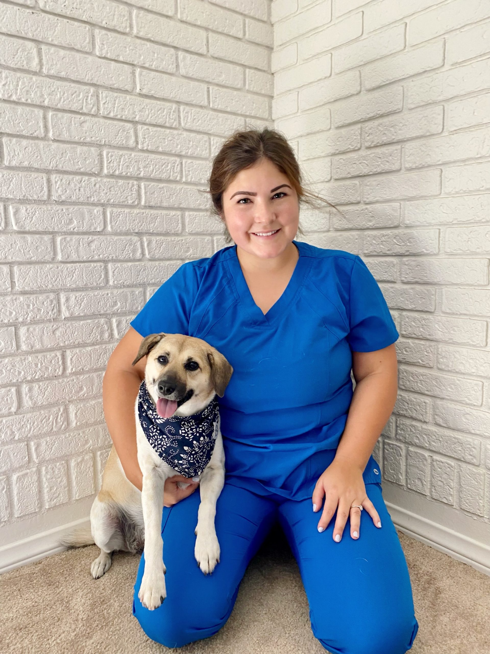 Our team - Uptown Animal Hospital ABC